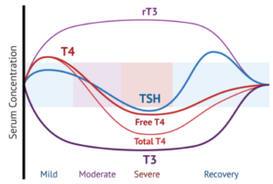Thyrotropin (TSH) – Lægenoter